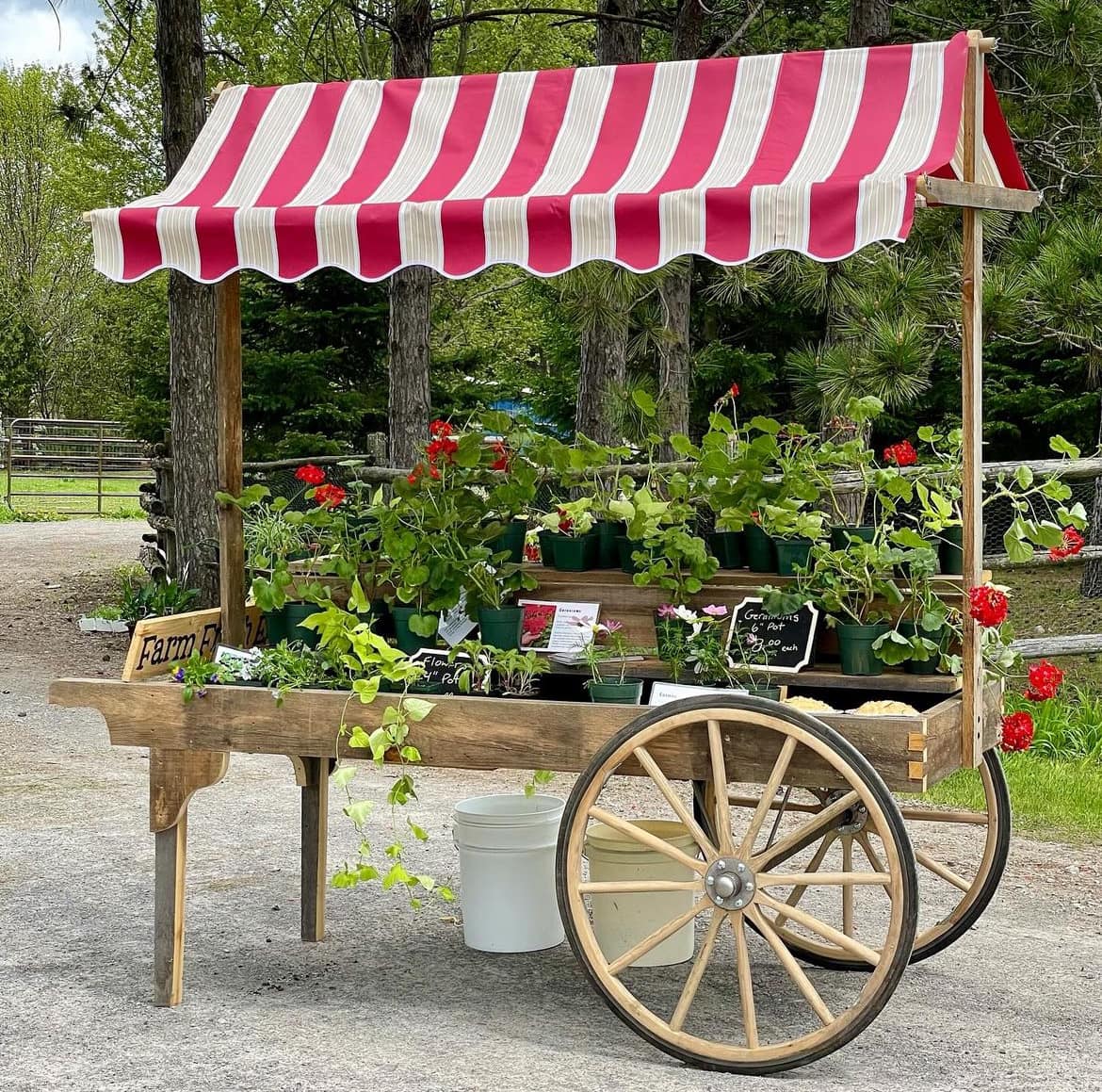 The Story Behind Our Quaint Little Farm Cart – Little Farm Cart